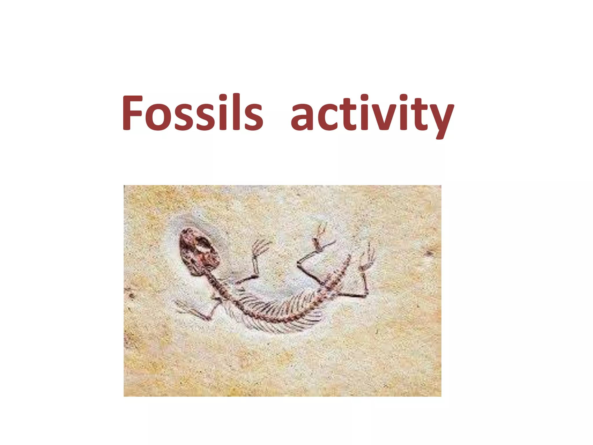Fossils activity | PPTX