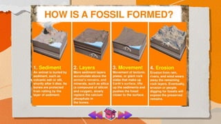 Fossils_and_food_chain__.science materialsppsx | PPT
