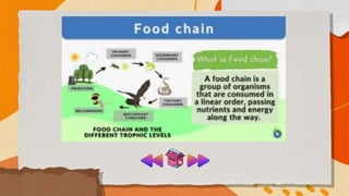 Fossils_and_food_chain__.science materialsppsx | PPT