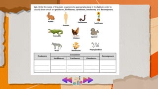 Fossils_and_food_chain__.science materialsppsx | PPT