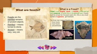 Fossils_and_food_chain__.science materialsppsx | PPT