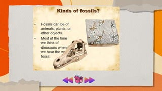 Fossils_and_food_chain__.science materialsppsx | PPT