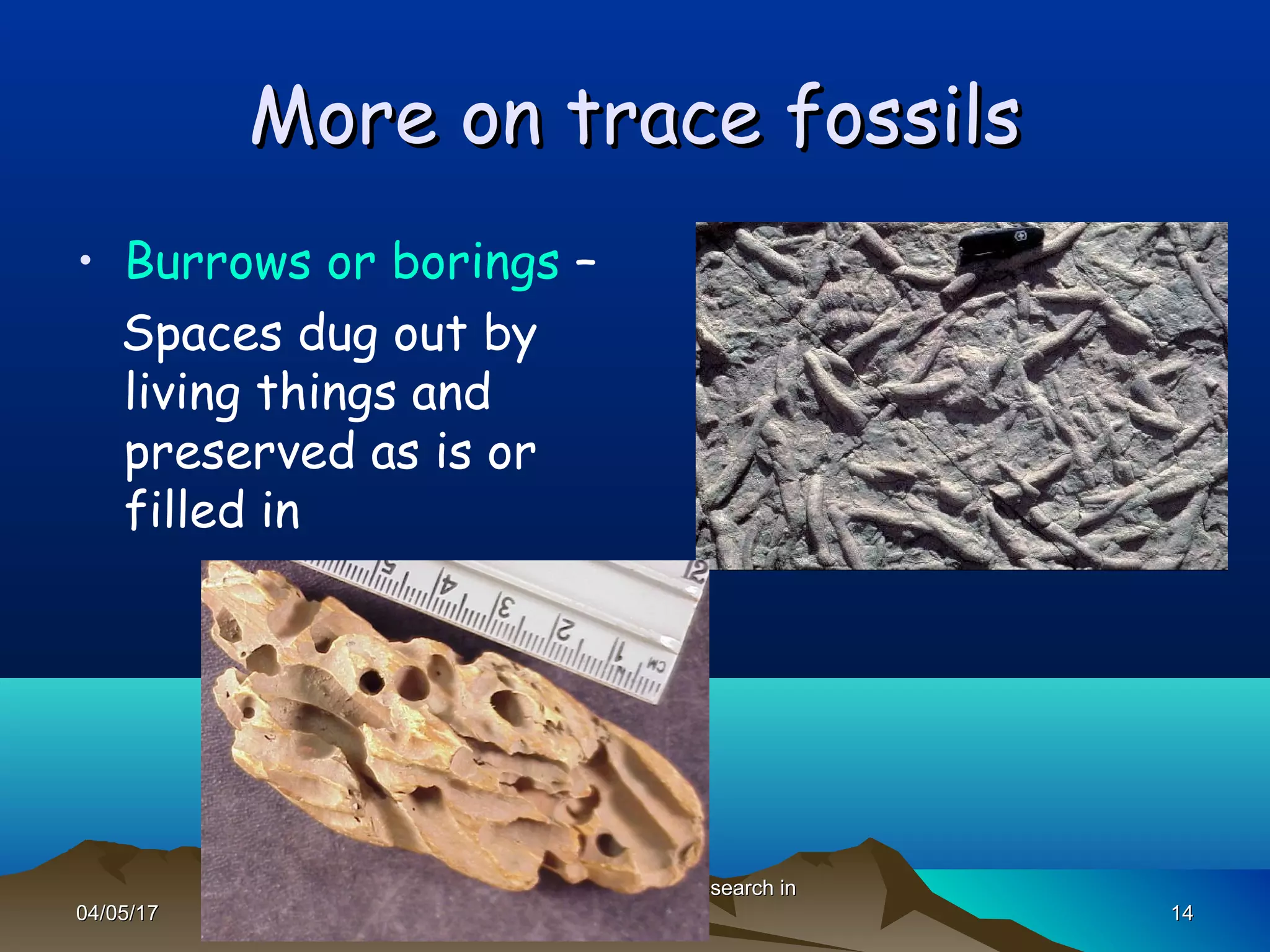 Fossils and fossilisation | PPT