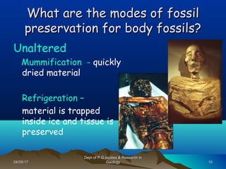 Fossils and fossilisation | PPT