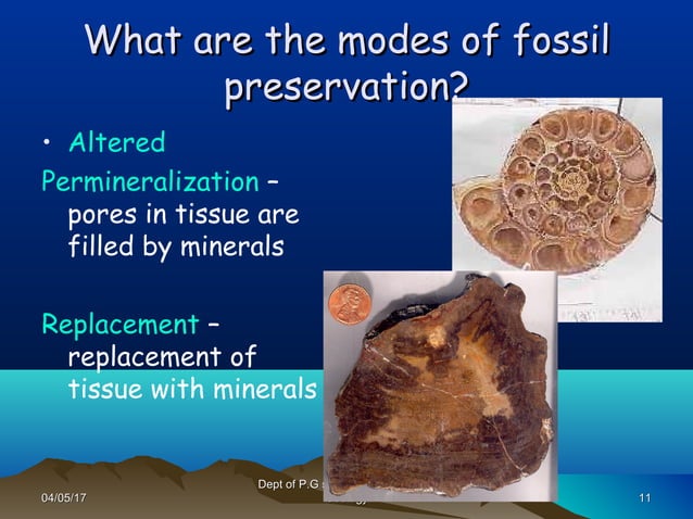 Fossils and fossilisation | PPT