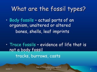 Fossils and fossilisation | PPT