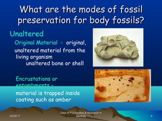 Fossils and fossilisation | PPT