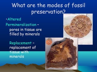 fossilsandfossilisation-170405113958 (1).pptx