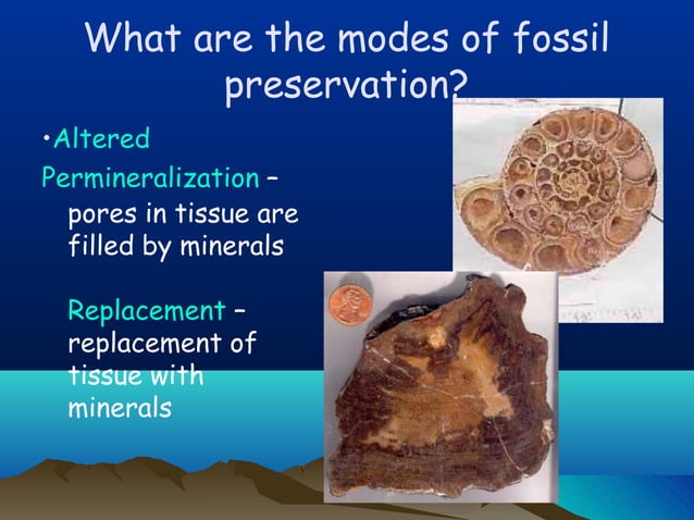 fossilsandfossilisation-170405113958 (1).pptx