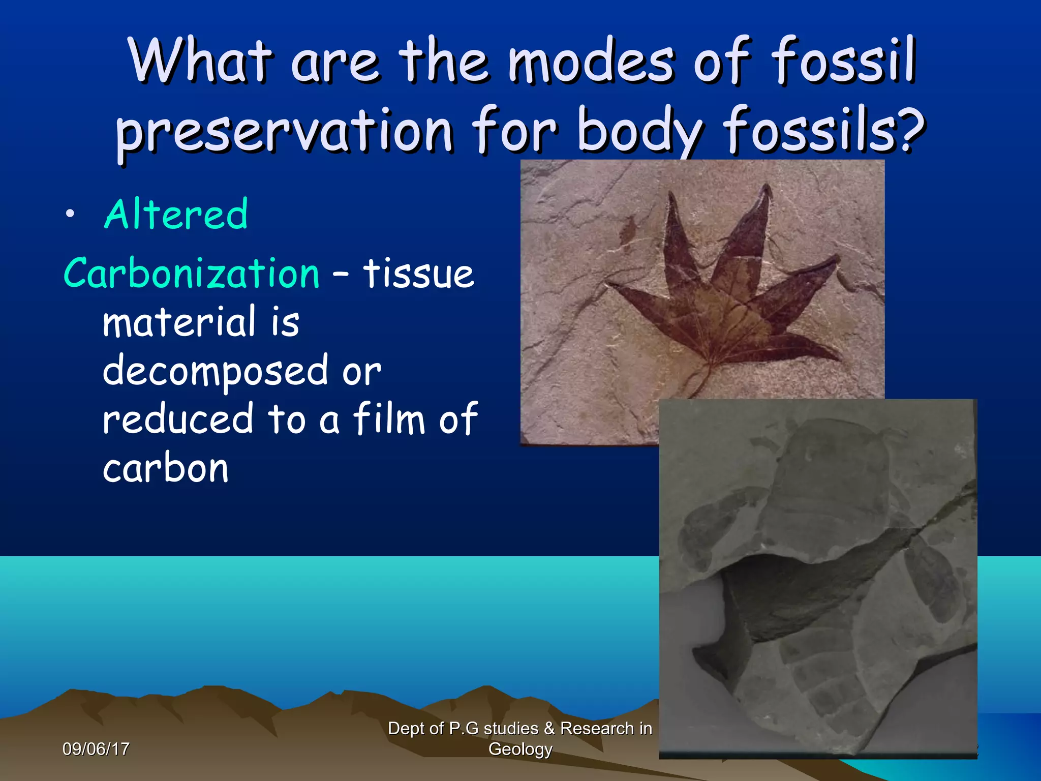 Fossils and fossilization | PPT