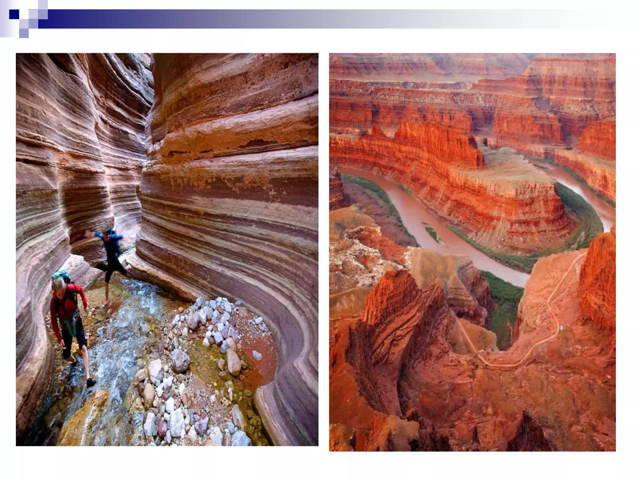 Fossils and rock layers | PPTX