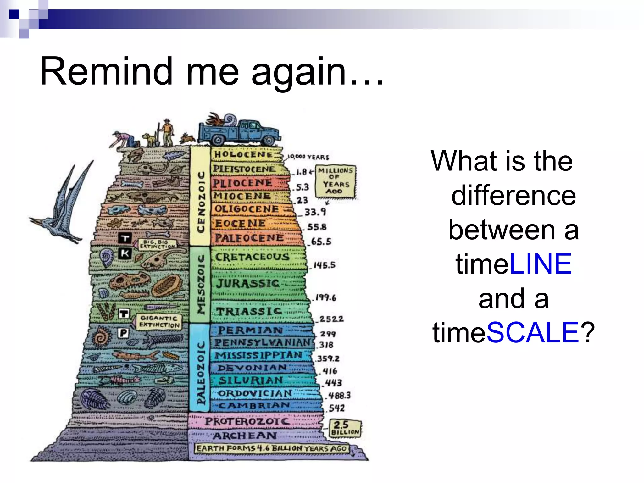 Fossils and rock layers | PPTX