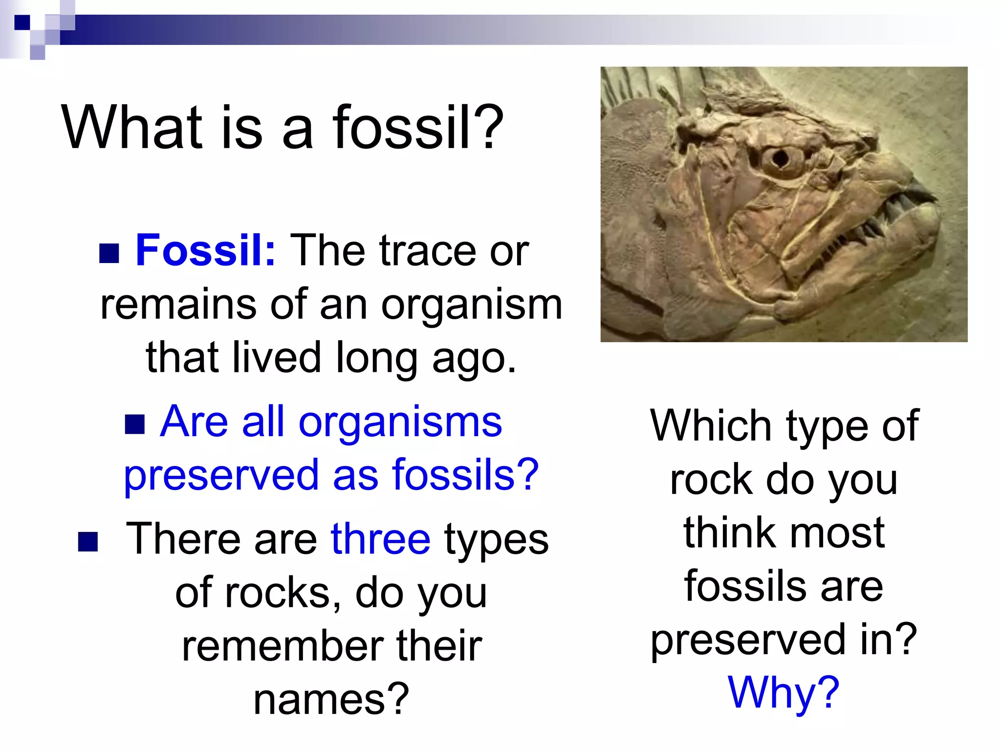 Fossils and rock layers | PPTX