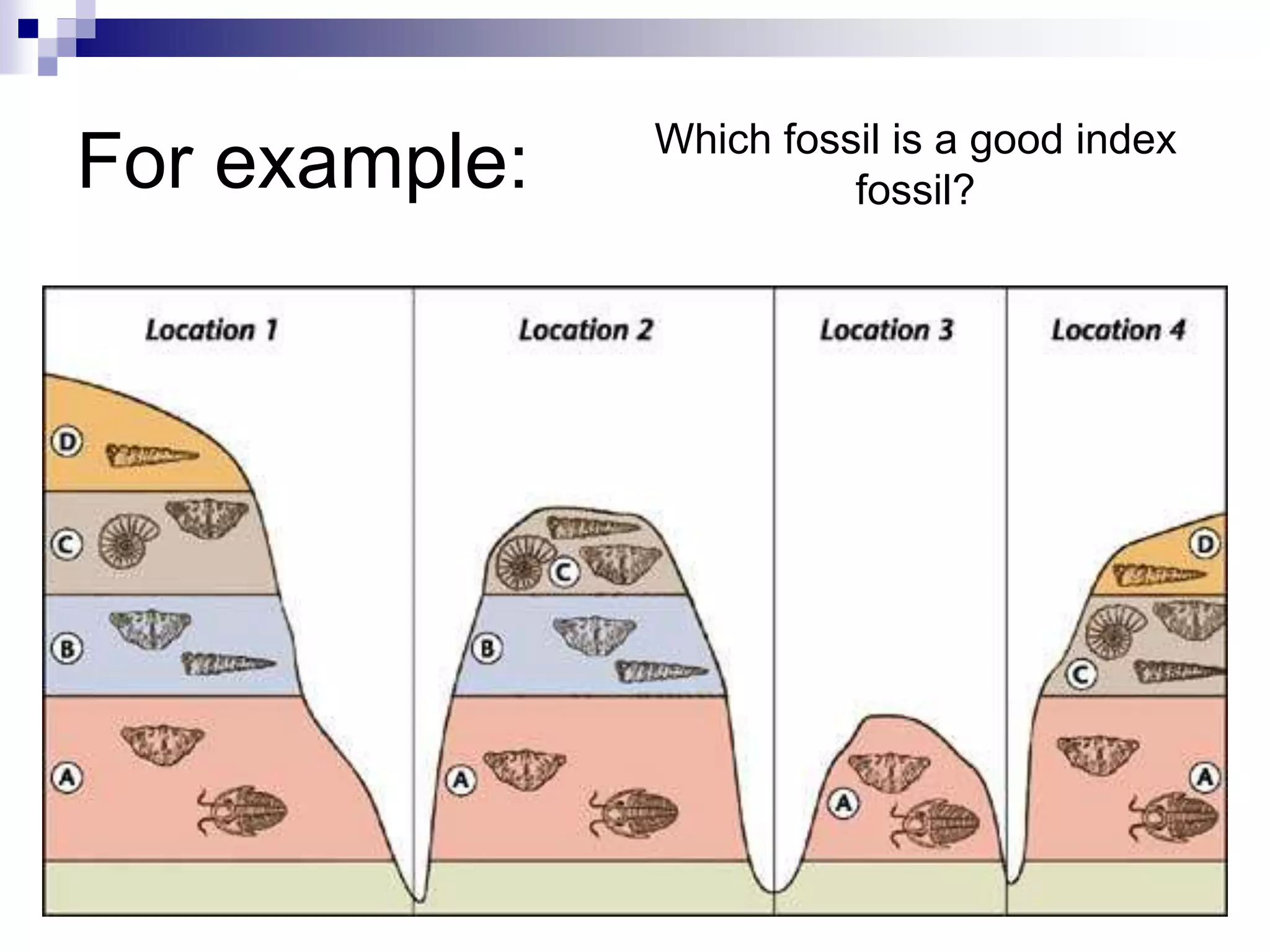 Fossils and rock layers | PPTX