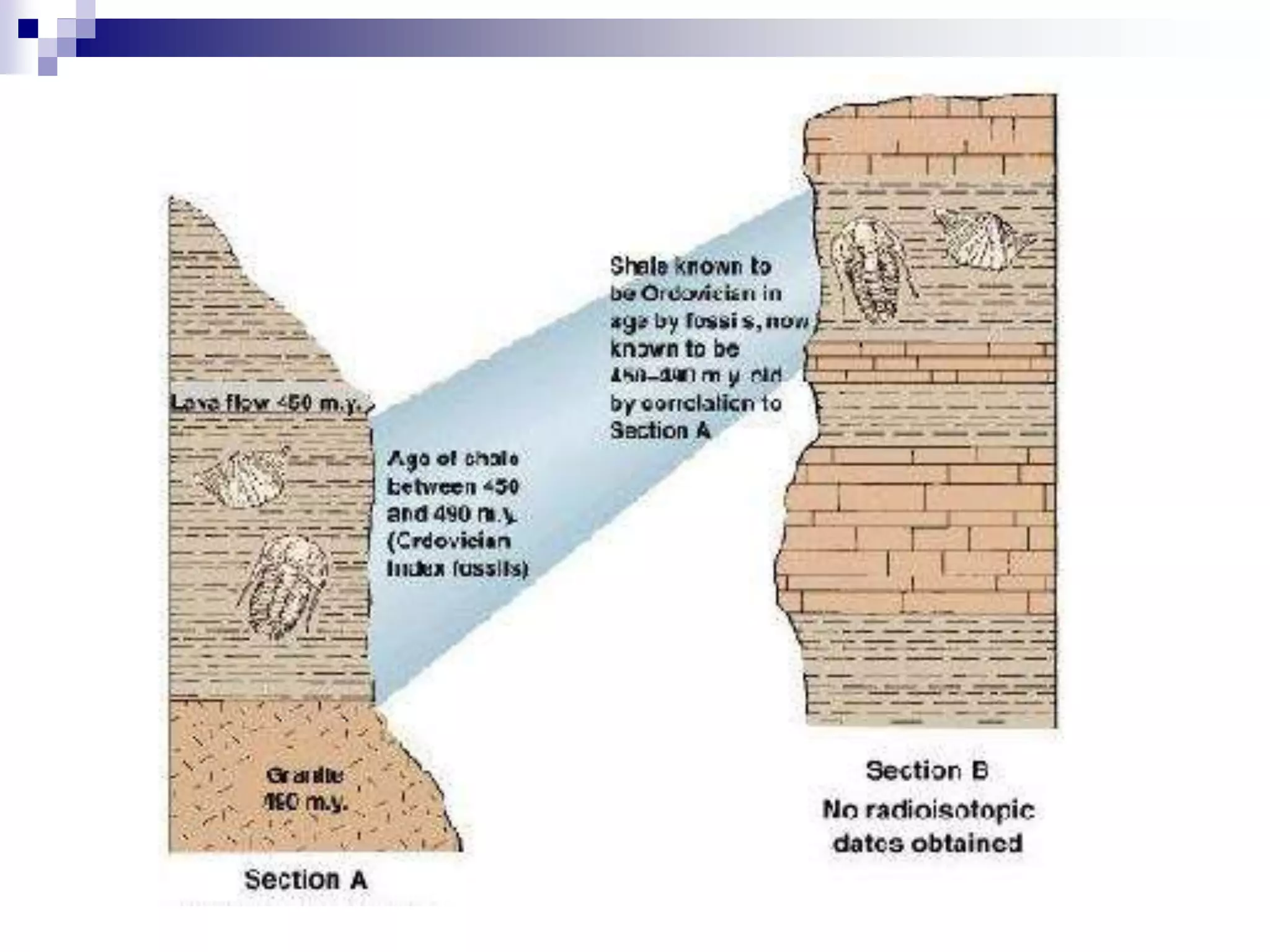 Fossils and rock layers | PPTX