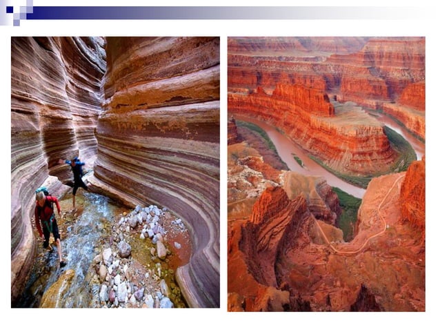 Fossils and rock layers | PPTX | Geology | Science