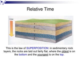 Fossils and rock layers | PPTX | Geology | Science