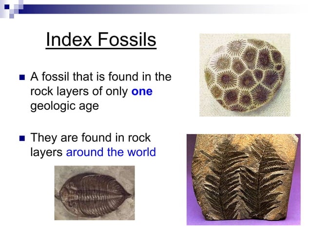 Fossils and rock layers | PPTX | Geology | Science