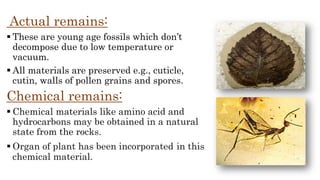 Fossils and their types.pptx