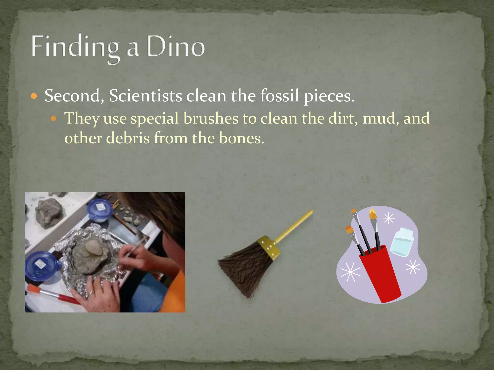 Fossils are fun | PPTX