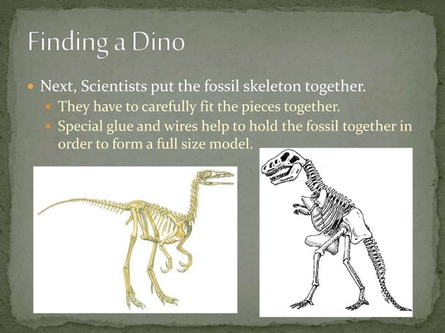 Fossils are fun | PPT