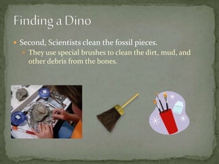 Fossils are fun | PPTX