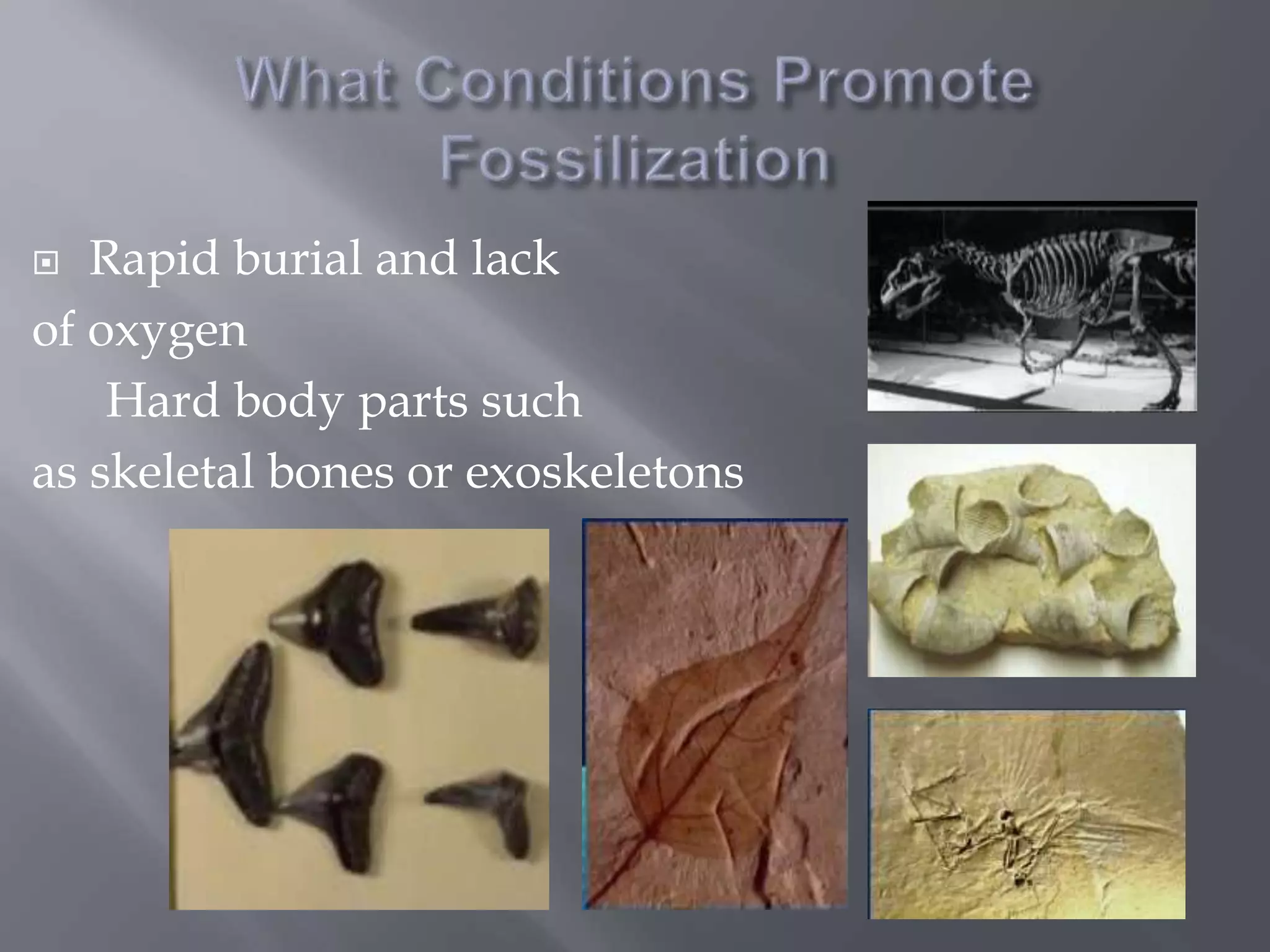 Fossils formation & their significance in evolution | PPTX