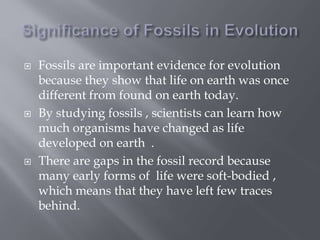 Fossils formation & their significance in evolution | PPTX