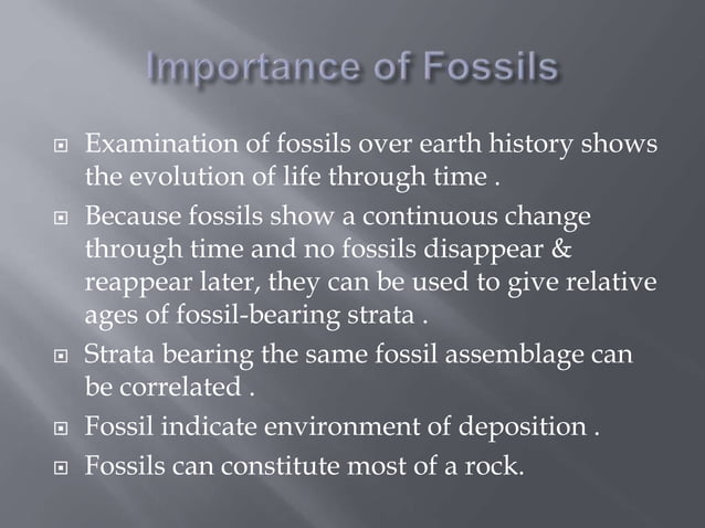Fossils formation & their significance in evolution | PPTX | Geology | Science