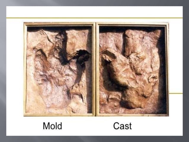 Fossils formation & their significance in evolution | PPTX | Geology ...