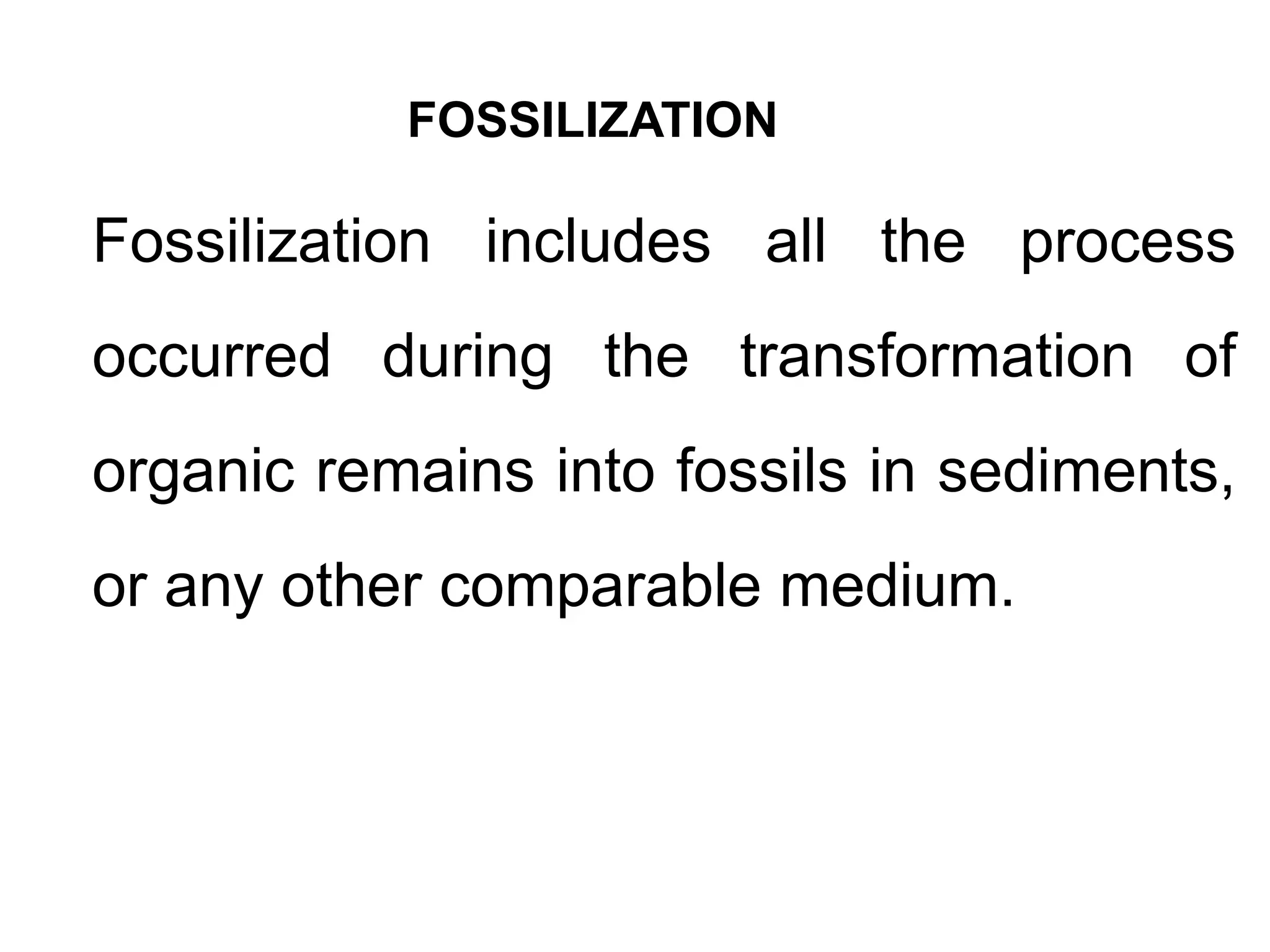 Fossils And Fossilization Ppt
