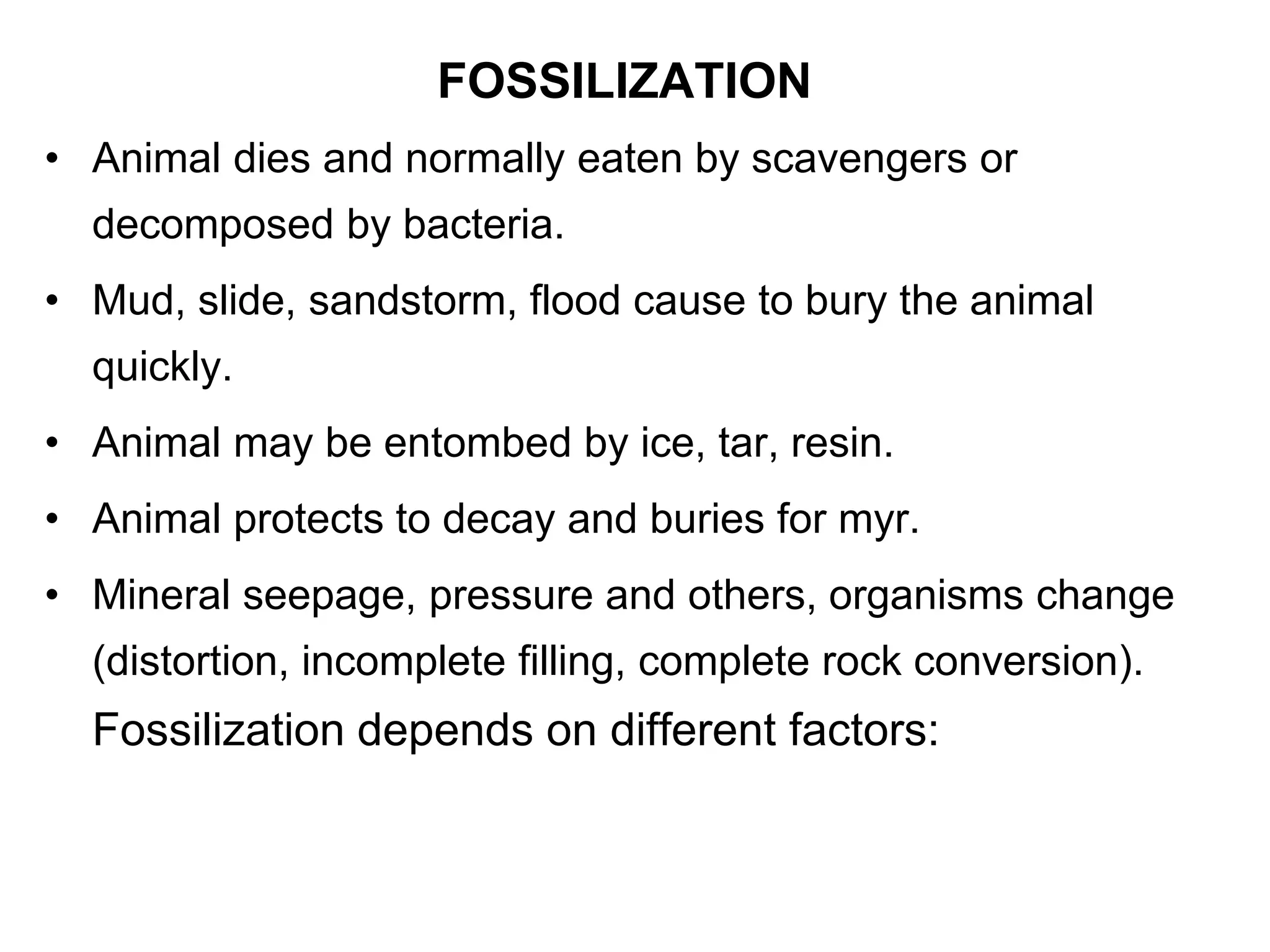 Fossils And Fossilization Ppt Geology Science