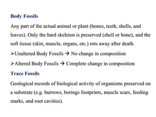 Fossils & Fossilization.ppt