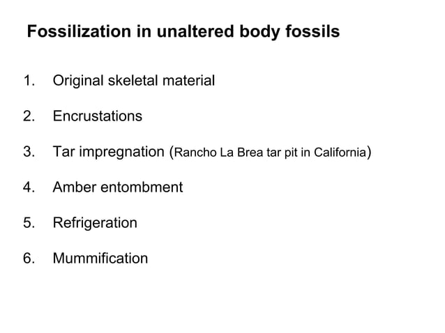 Fossils & Fossilization.ppt | Geology | Science