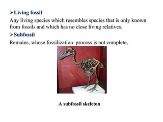 Fossils & Fossilization.ppt
