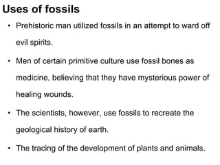 Fossils & Fossilization.ppt