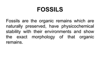 Fossils & Fossilization.ppt