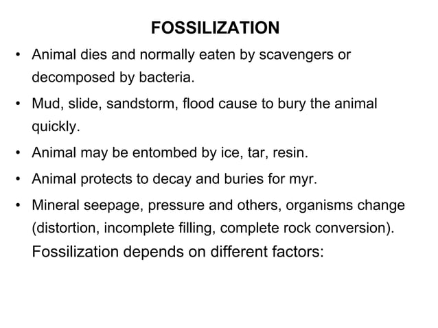 Fossils & Fossilization.ppt | Geology | Science