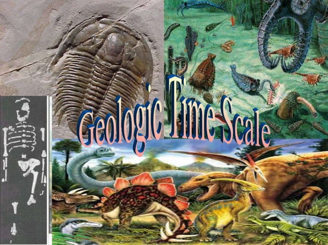 fossils & geologic time.ppt
