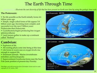 fossils & geologic time.ppt