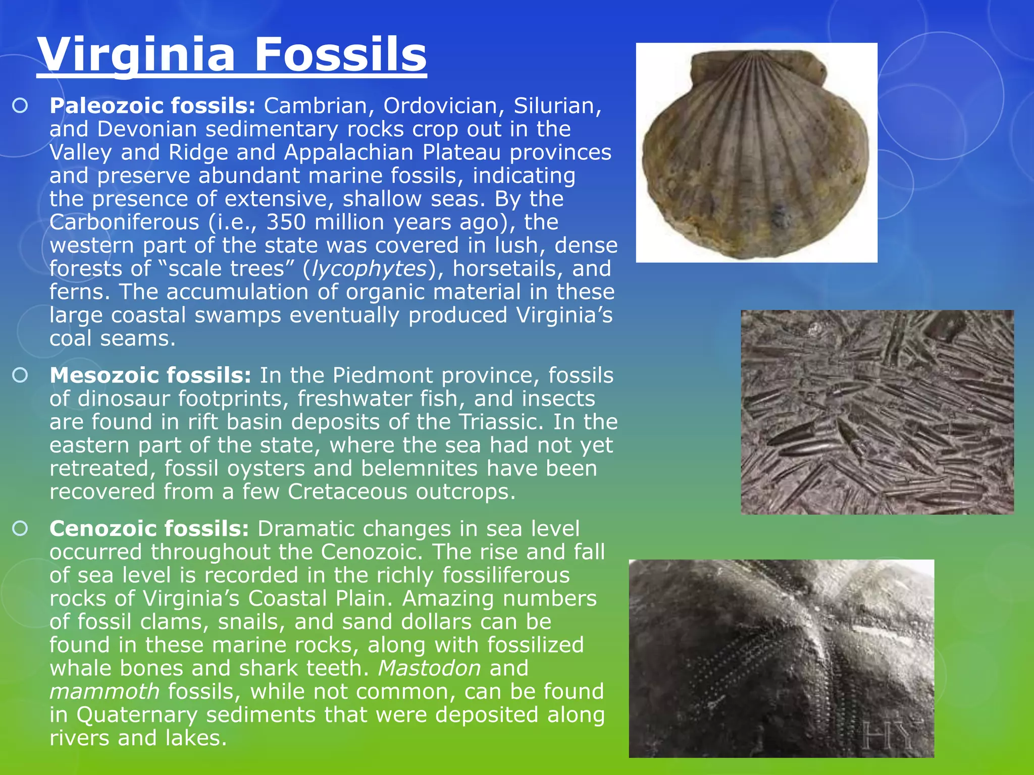 Fossils, Geologic Time, Dating, and Resources | PPTX | Geology | Science