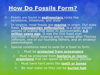Fossils, Geologic Time, Dating, and Resources | PPTX | Geology | Science