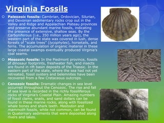 Fossils, Geologic Time, Dating, and Resources | PPTX | Geology | Science