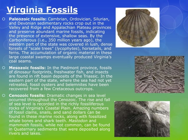 Fossils, Geologic Time, Dating, and Resources | PPT