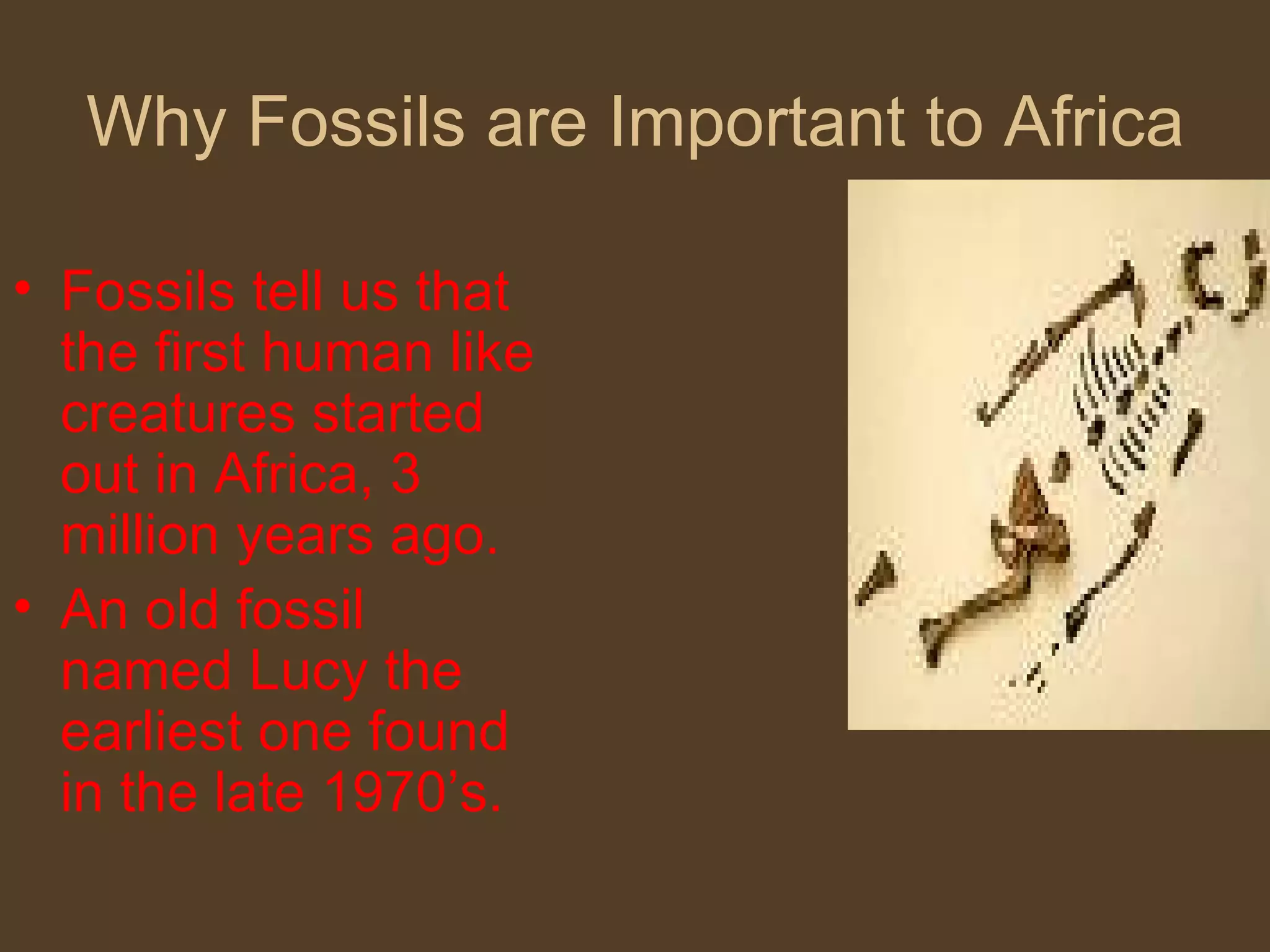 Fossils In Africa | PPT