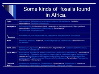 Fossils In Africa | PPT