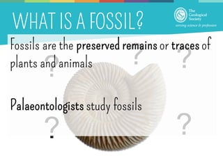 A presentation on Fossils | PDF