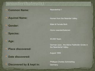 Fossil Evidence of Human Evolution: Lucy, Homo habilis,Taung boy and ...