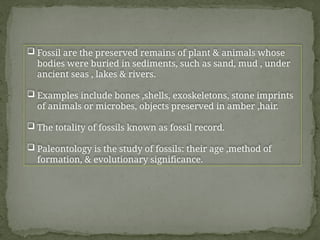Fossil Evidence of Human Evolution: Lucy, Homo habilis,Taung boy and ...