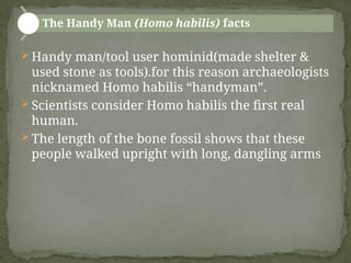 Fossil Evidence of Human Evolution: Lucy, Homo habilis,Taung boy and ...
